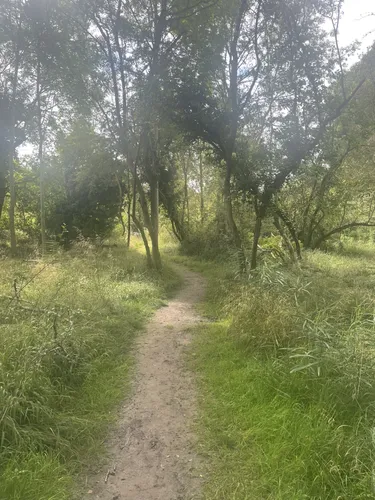 Best Hikes and Trails in Fowlmere Nature Reserve | AllTrails