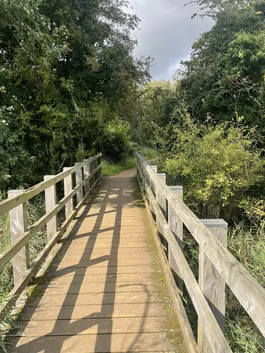 Best Hikes and Trails in Fowlmere Nature Reserve | AllTrails