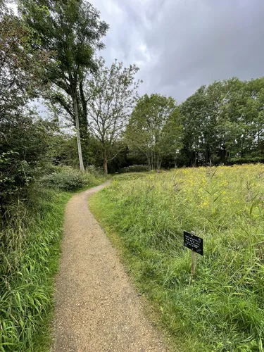 Best Hikes and Trails in Fowlmere Nature Reserve | AllTrails