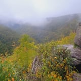Pase Point Trail, West Virginia - 254 Reviews, Map | AllTrails
