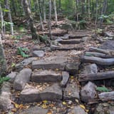 Mount Arab Trail, New York - 2,177 Reviews, Map | AllTrails