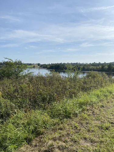 2023 Best Forest Trails in Langeskov | AllTrails