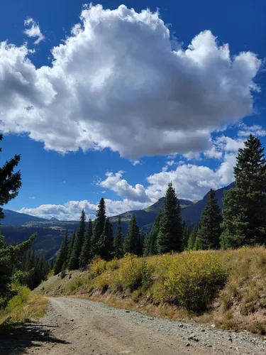 10 Best Off Road Driving Trails in Silverton | AllTrails