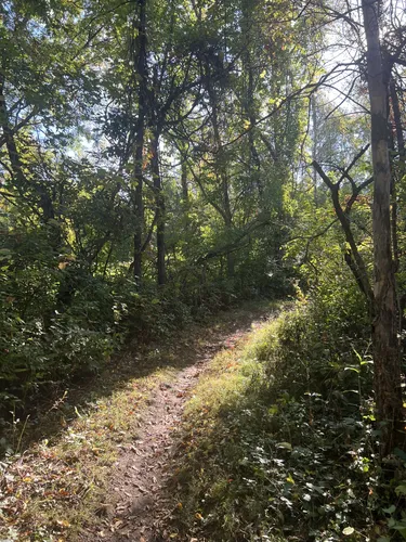 Best Hikes and Trails in Ewing Park | AllTrails