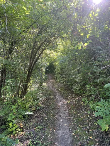 Best Hikes and Trails in Ewing Park | AllTrails