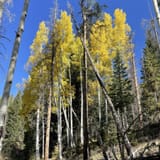 Timber Lake Trail, Colorado - 621 Reviews, Map | AllTrails