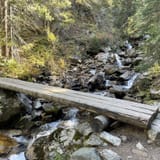 Timber Lake Trail, Colorado - 621 Reviews, Map | AllTrails