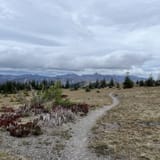 Loowit Loop, Washington - 399 Reviews, Map | AllTrails