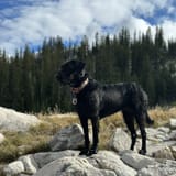 Goodwin Lake Trail, Wyoming - 320 Reviews, Map | AllTrails