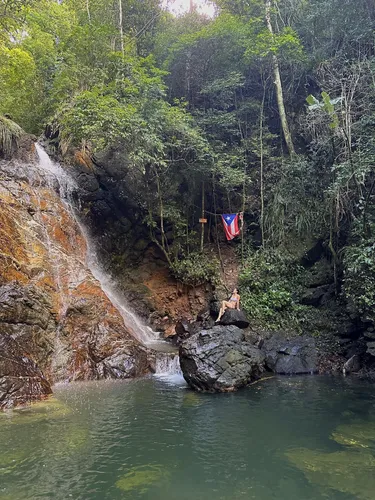 Melhores caminhadas e trilhas em Maricao State Forest | AllTrails