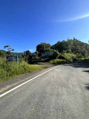 Melhores caminhadas e trilhas em Maricao State Forest | AllTrails