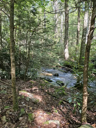 Best Hikes and Trails in The Hook Natural Area | AllTrails