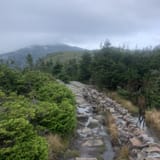 Presidential Traverse Trail, New Hampshire - 1,521 Reviews, Map | AllTrails