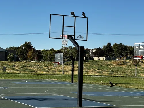 Best Hikes and Trails in Lodestone Regional Park | AllTrails