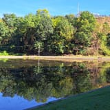 Schenley Park Double Loop, Pennsylvania - 705 Reviews, Map | AllTrails