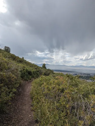 10 Best Trails and Hikes in Draper | AllTrails 10 Best Trails and Hikes in Draper | AllTrails