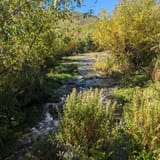 Cascade Springs Interpretive Trail, Utah - 466 Reviews, Map | AllTrails