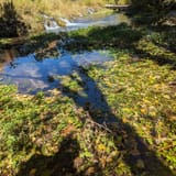 Cascade Springs Interpretive Trail, Utah - 466 Reviews, Map | AllTrails