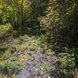 Cascade Springs Interpretive Trail, Utah - 419 Reviews, Map | AllTrails