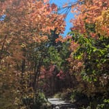 Cascade Springs Interpretive Trail, Utah - 440 Reviews, Map | AllTrails