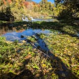 Cascade Springs Interpretive Trail, Utah - 466 Reviews, Map | AllTrails