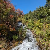 Cascade Springs Interpretive Trail, Utah - 466 Reviews, Map | AllTrails