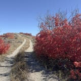 Emigration Canyon Ridgeline Trail, Utah - 378 Reviews, Map | AllTrails
