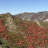 Emigration Canyon Ridgeline Trail, Utah - 378 Reviews, Map | AllTrails