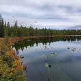 Bench Lakes Trail, Idaho - 979 Reviews, Map | AllTrails