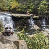 Viaduct Park, Ohio - 537 Reviews, Map | AllTrails