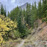 Carnarvon Lake, Alberta, Canada - 701 Reviews, Map | AllTrails