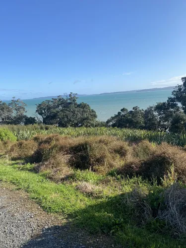 Best Hikes and Trails in Omana Regional Park | AllTrails