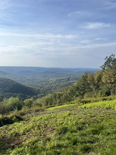 Best Hikes and Trails in Taconic Ridge State Forest | AllTrails