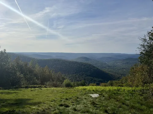 Best Hikes and Trails in Taconic Ridge State Forest | AllTrails