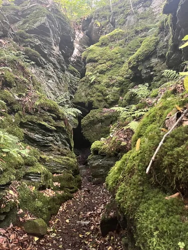 Best Hikes and Trails in Taconic Ridge State Forest | AllTrails