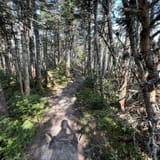 Bondcliff, Mount Bond, and West Bond, New Hampshire - 554 Reviews, Map ...