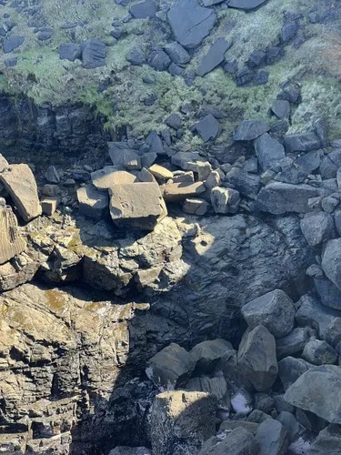 2023 Best Trails, Walks, and Paths in Slope Point | AllTrails