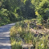 Maybrook Trailway - Dutchess Rail Trail, New York - 77 Reviews, Map ...