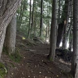 Solitaire Lake Loop, Ontario, Canada - 795 Reviews, Map | AllTrails