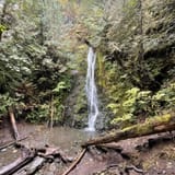 Madison Falls Trail, Washington - 1,573 Reviews, Map | AllTrails