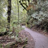 Madison Falls Trail, Washington - 1,573 Reviews, Map | AllTrails