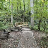 Cat Gap Loop Trail, North Carolina - 701 Reviews, Map | AllTrails