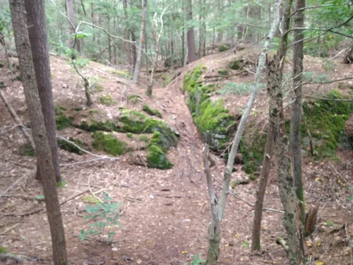 Best Hikes and Trails in Bears Den Natural Area | AllTrails