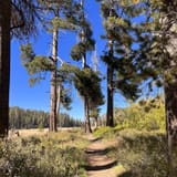 Big Meadow to Round Lake, California - 787 Reviews, Map | AllTrails