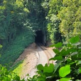 Point Lookout Trail, North Carolina - 626 Reviews, Map | AllTrails