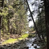 Little Harbor Brook Trail, Maine - 185 Reviews, Map | AllTrails