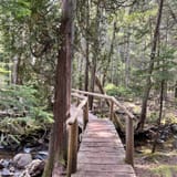 Little Harbor Brook Trail, Maine - 185 Reviews, Map | AllTrails
