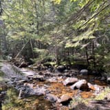 Little Harbor Brook Trail, Maine - 185 Reviews, Map | AllTrails