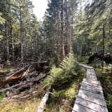 Little Harbor Brook Trail, Maine - 185 Reviews, Map | AllTrails