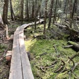 Little Harbor Brook Trail, Maine - 185 Reviews, Map | AllTrails